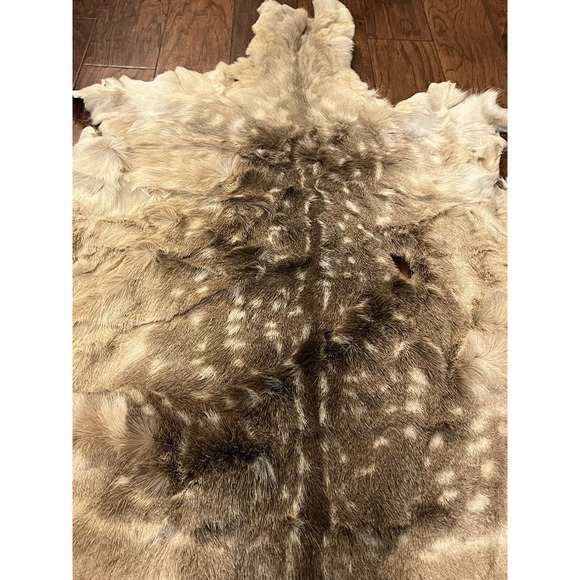 Unbranded | Other | Taxidermy Tanned Large Fallow Deer Skin Rustic ...
